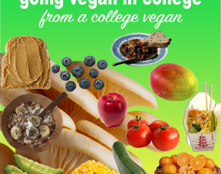 KJHK 90.7 FM – The Sound Alternative